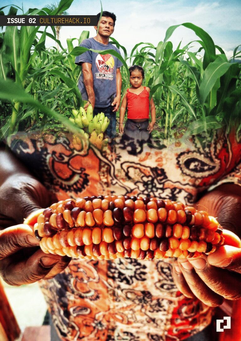 Seeing mielie in milpa - a territory that intergrows - Culture Hack Labs