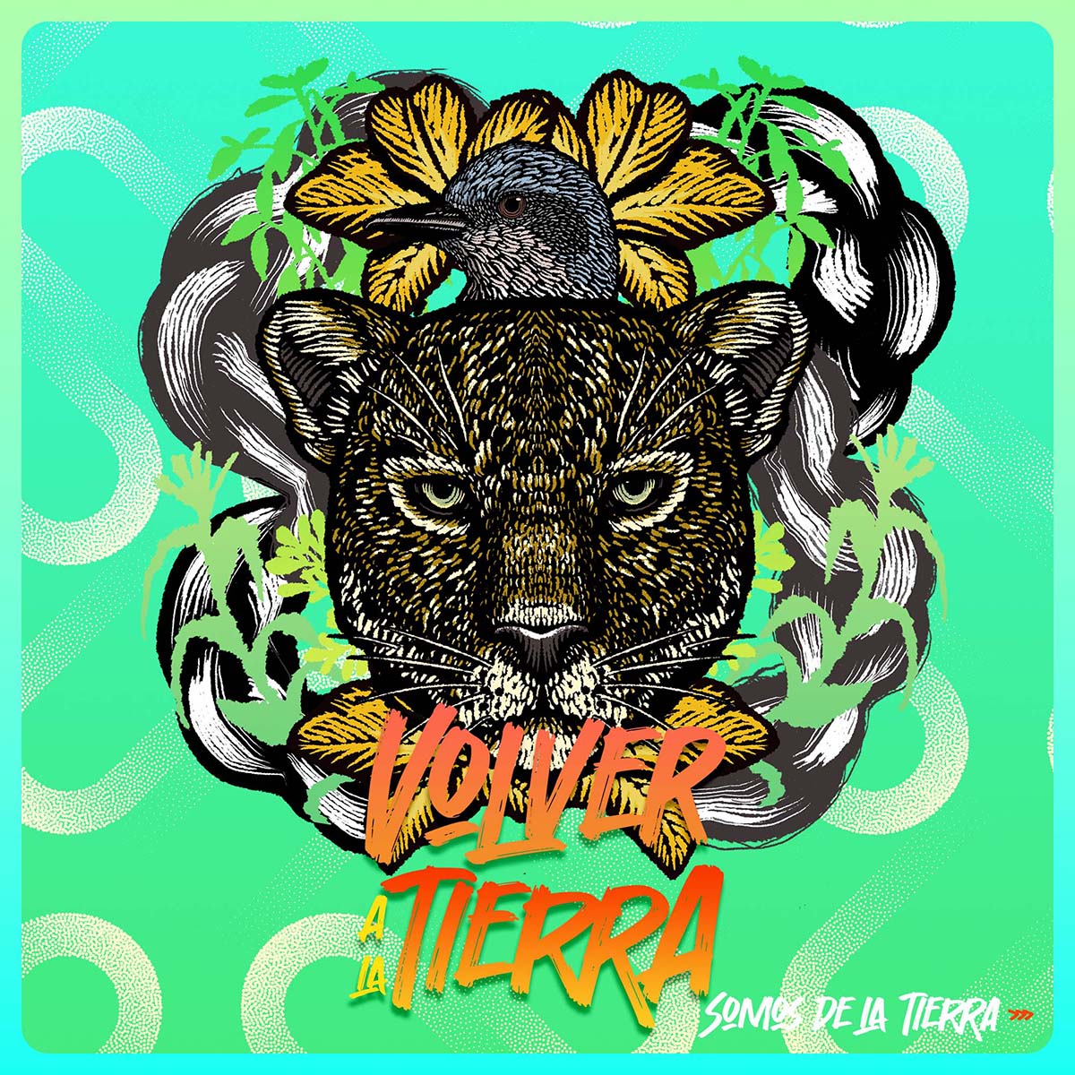 Somos de la tierra - Culture Hack Labs